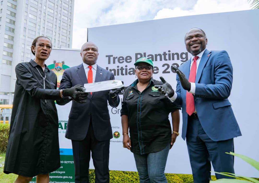 UBA Foundation leads Africa’s green revolution, pledges one million ...