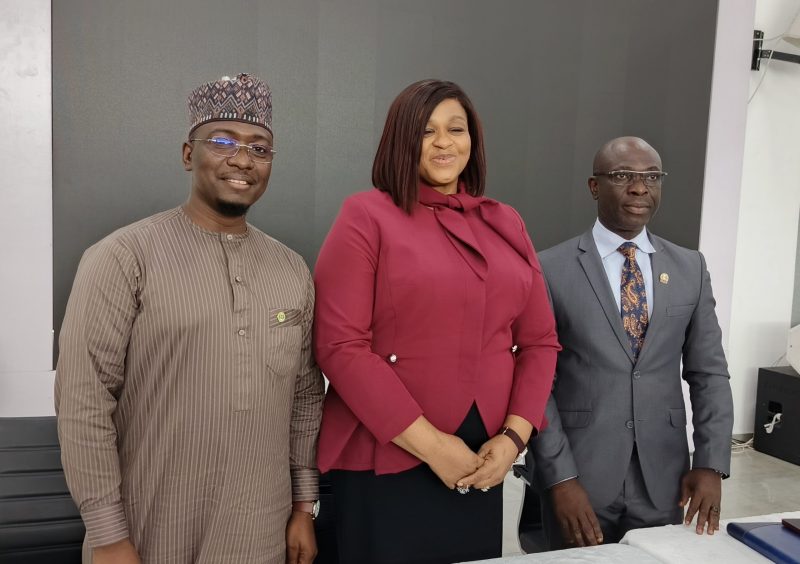 Nigerian insurers assure aviation sector of adequate risk coverage ...