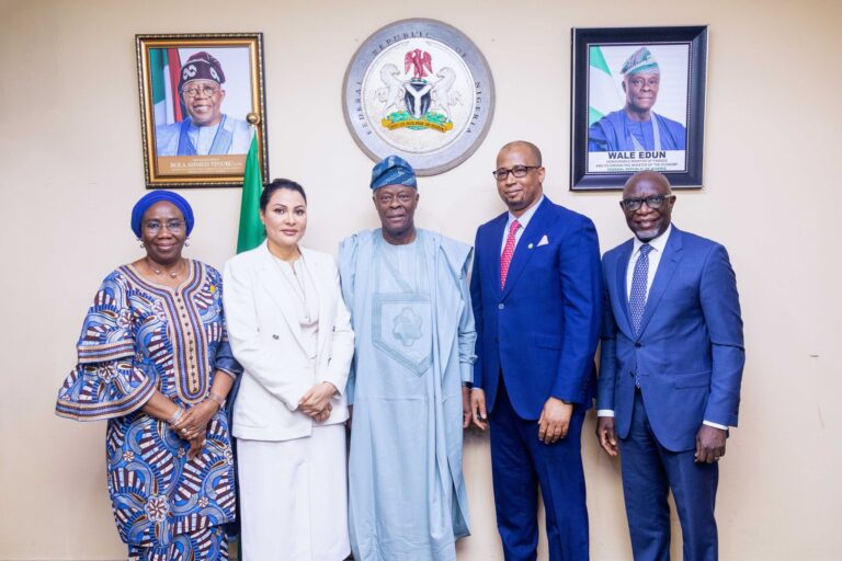 FG inaugurates new AMCON board — Daily Economy News
